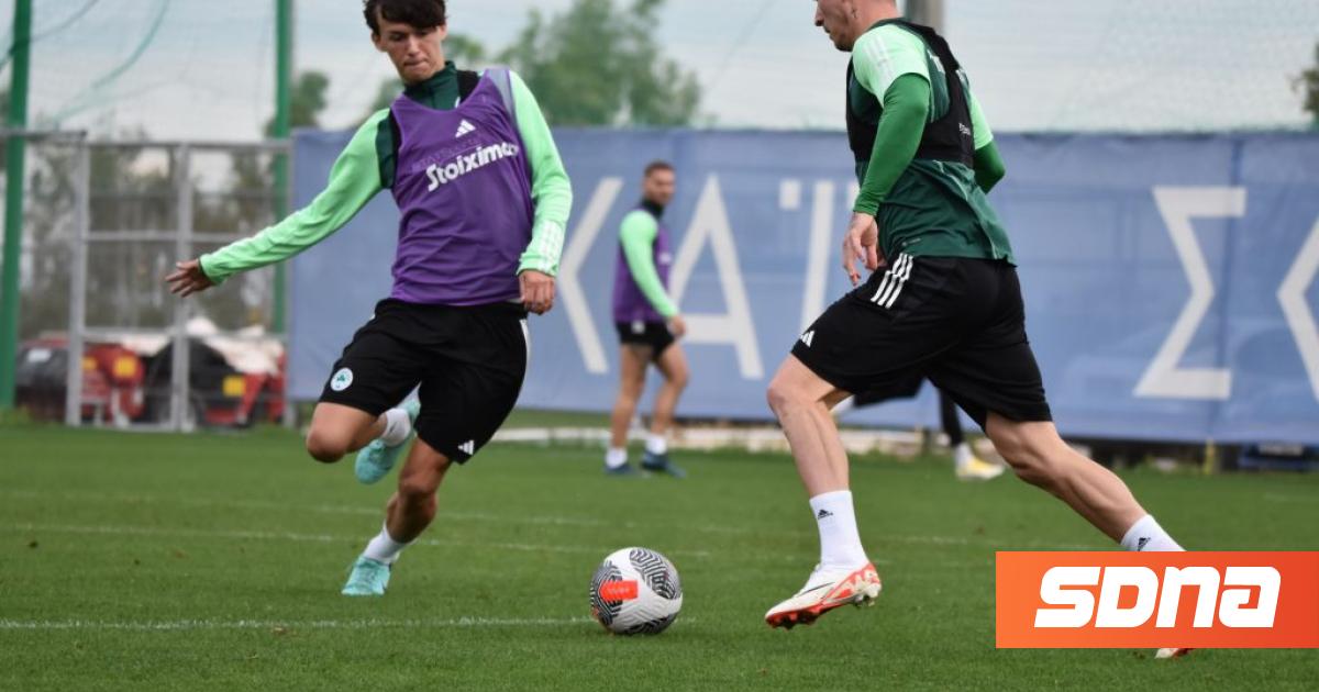 Παναθηναϊκός: Επέστρεψε ο Βέρμπιτς, πολλά τα προβλήματα | SDNA